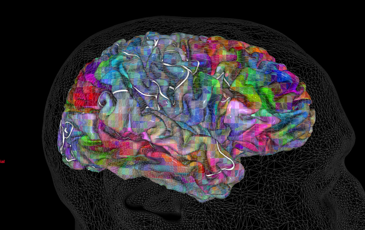 A Beautiful Brain Visualization Tool